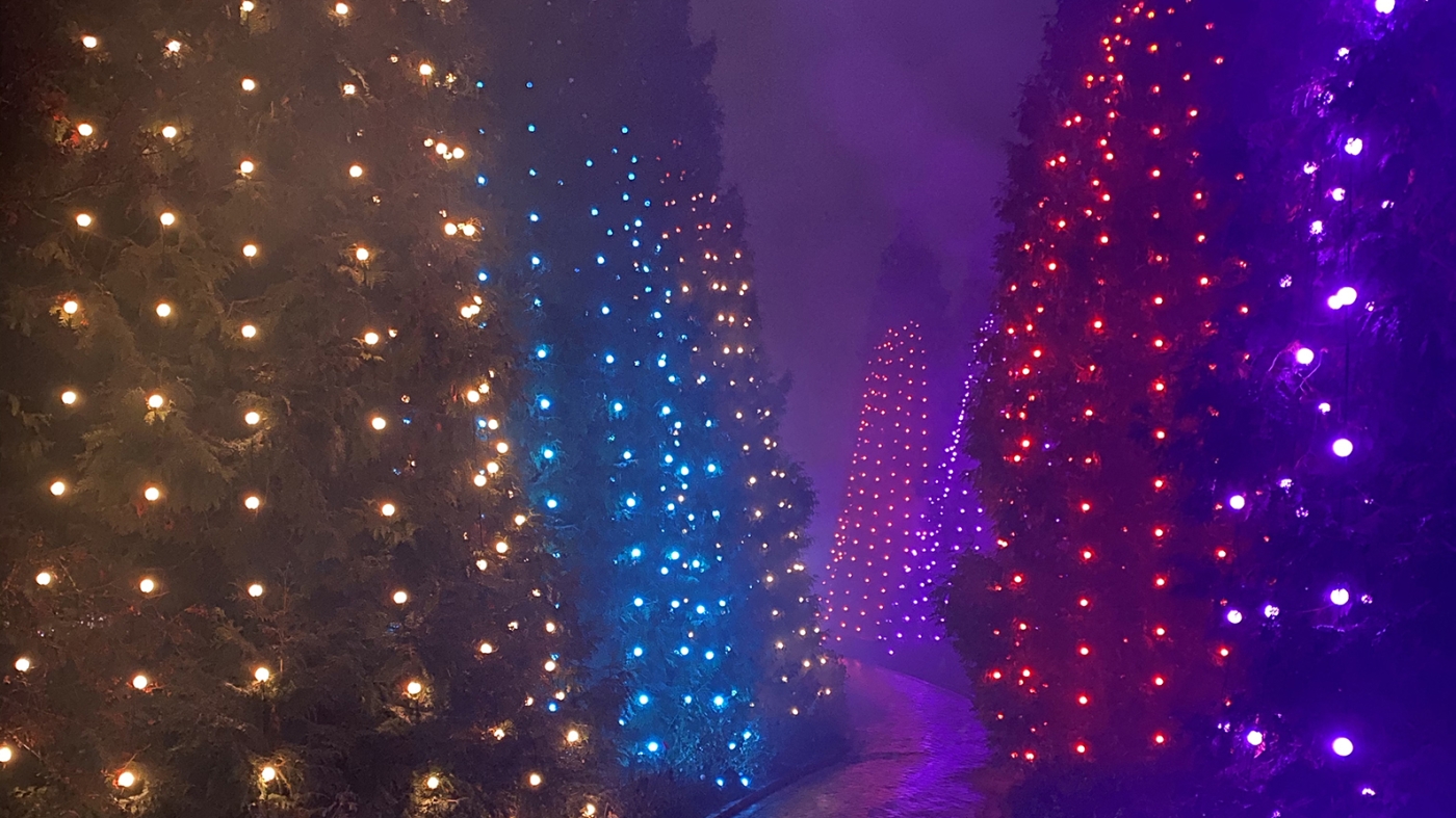 Lightscape Sparks Joy at Every Turn This Holiday Season | Chicago Botanic Garden